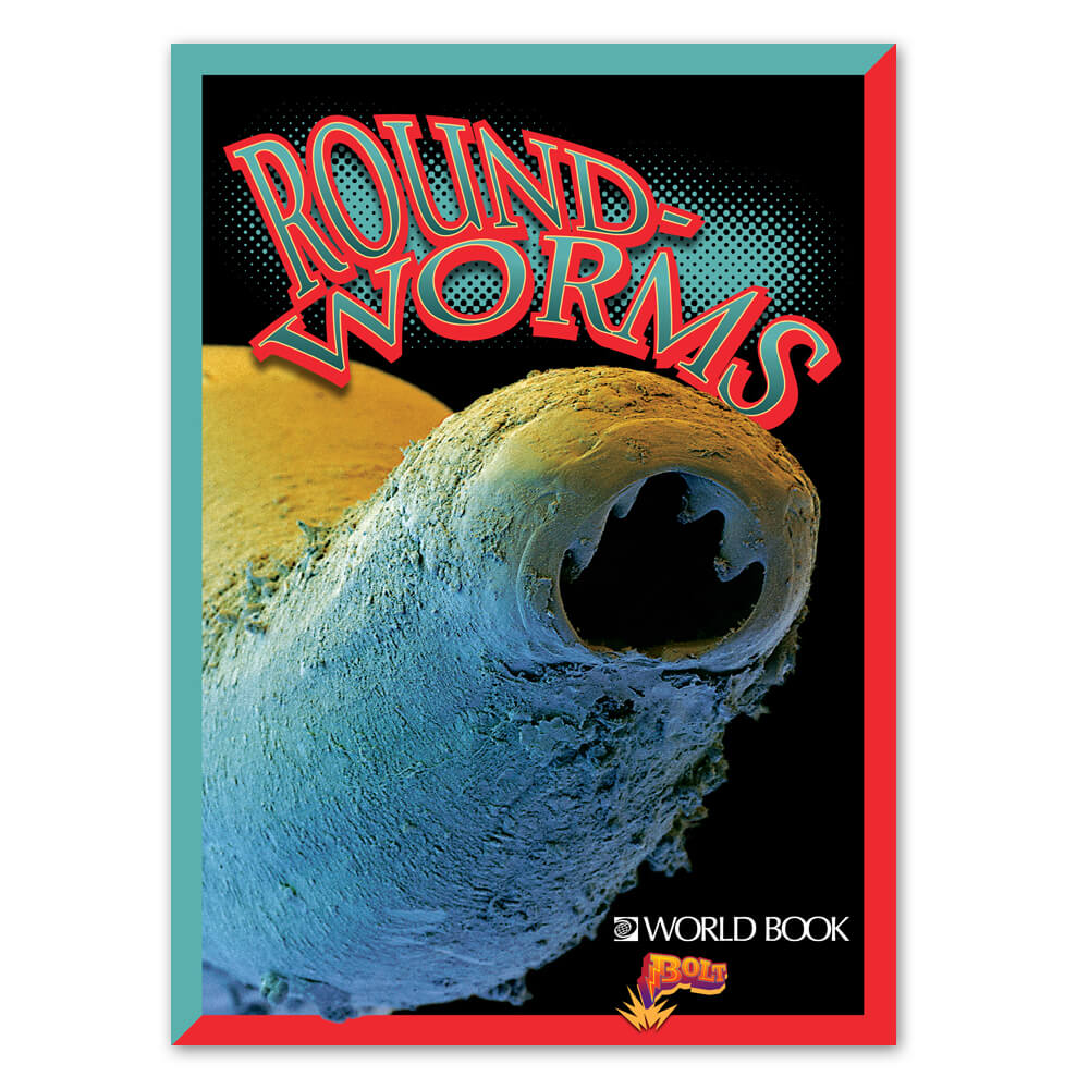 Roundworms Paperback | World Book