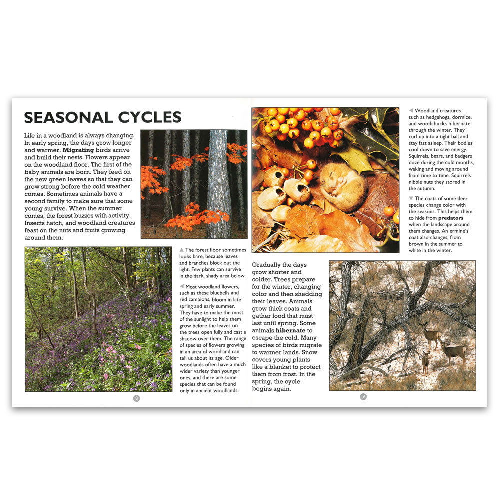Life in the Woodlands | World Book